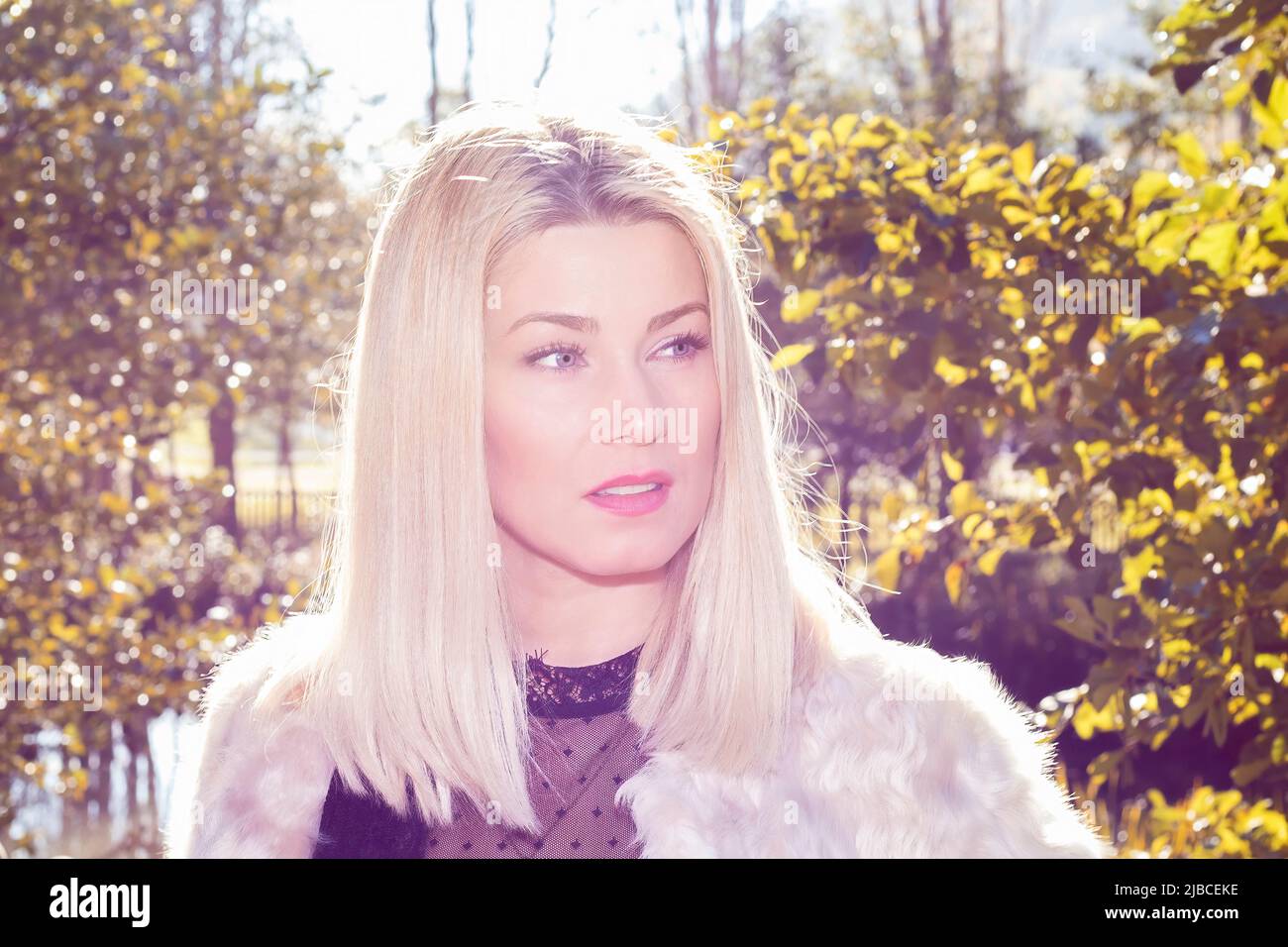 Elegante europäische frau immagini e fotografie stock ad alta ...