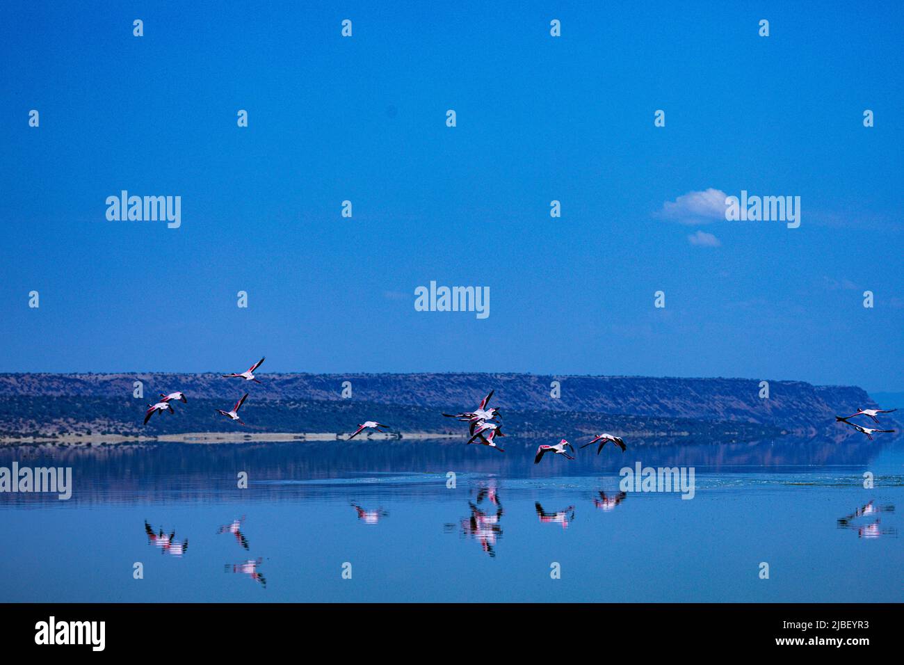 Kenyan Landscapes Lake Magadi è il lago più a sud della Rift Valley del ...