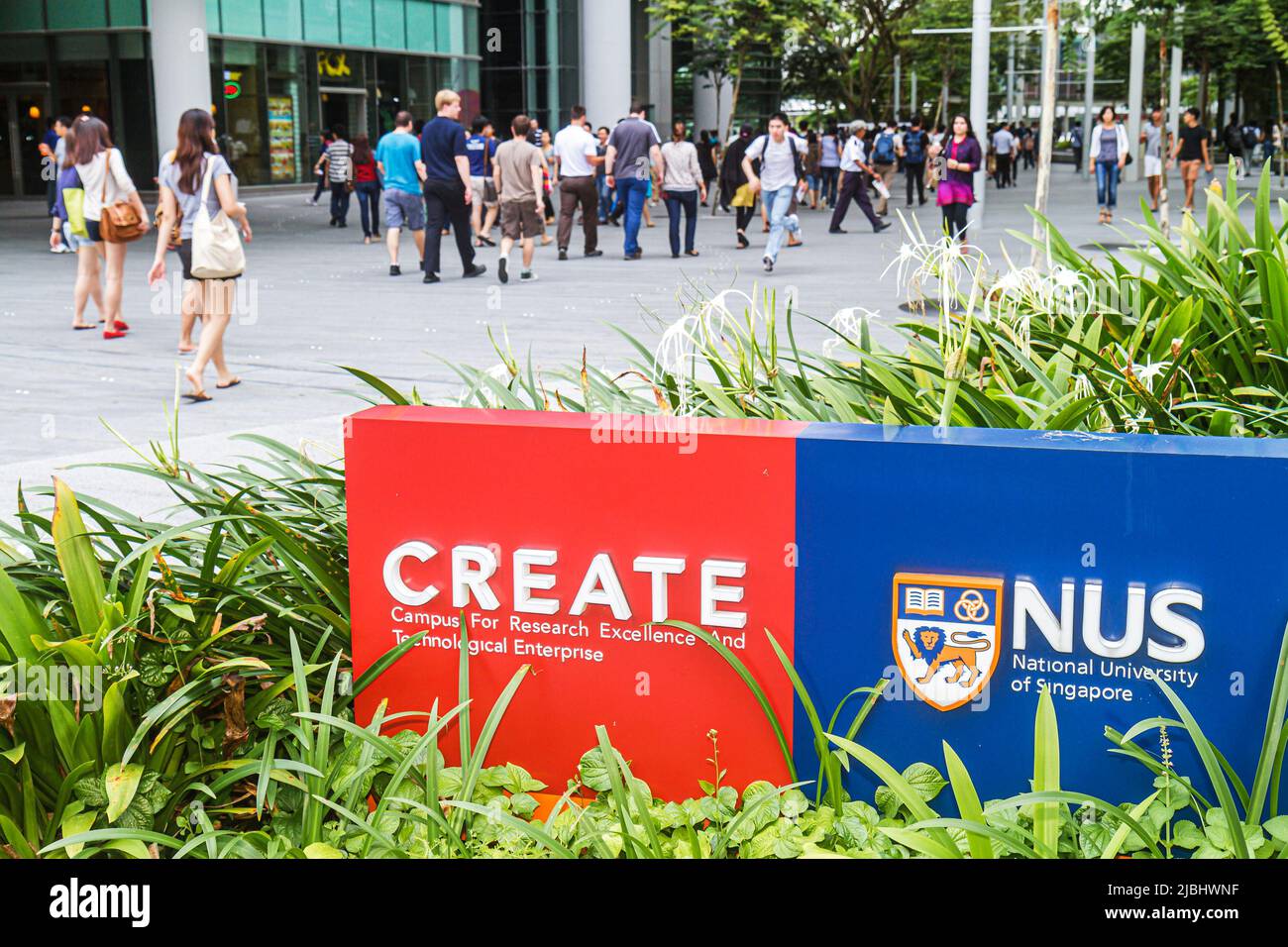 Singapore National University of Singapore NUS,University Town School ...