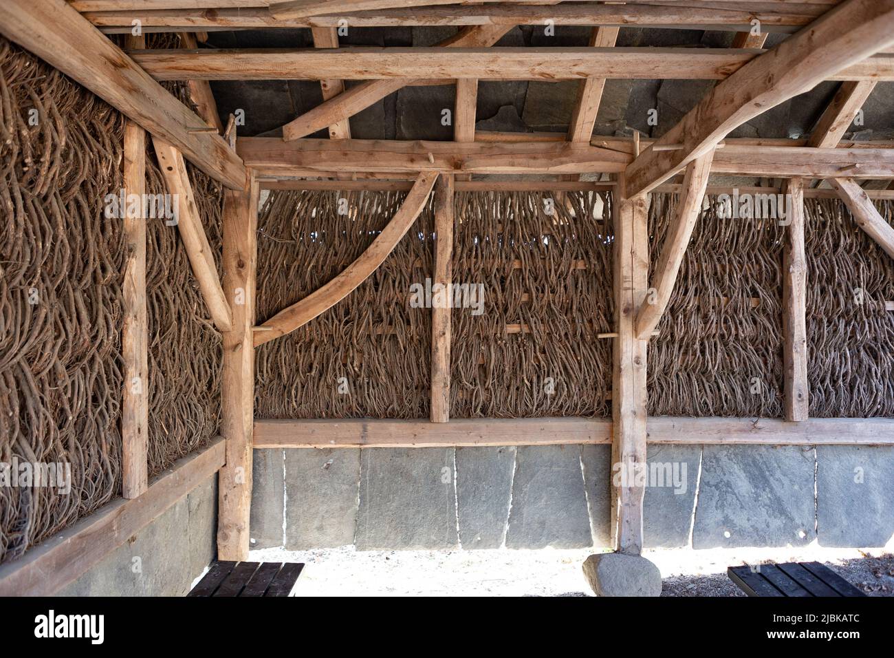 Treccia vichinga immagini e fotografie stock ad alta risoluzione - Alamy