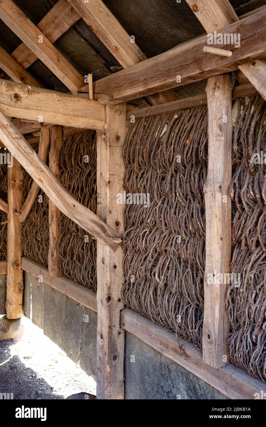 Treccia vichinga immagini e fotografie stock ad alta risoluzione - Alamy