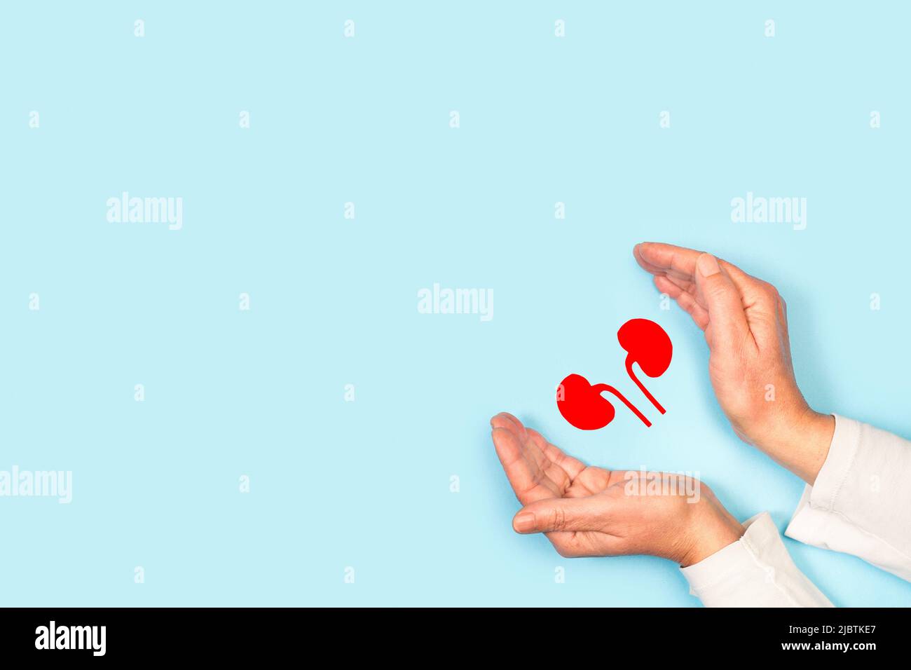 Anatomia dei reni immagini e fotografie stock ad alta risoluzione - Alamy