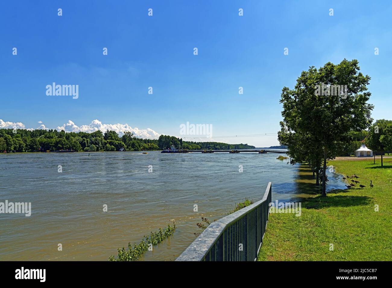 Hochwasser fluss rhein immagini e fotografie stock ad alta risoluzione ...