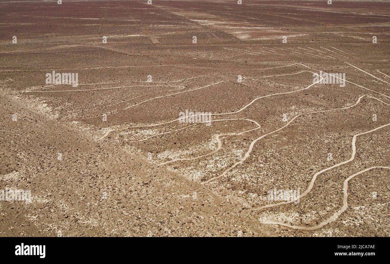 Linea di nazca immagini e fotografie stock ad alta risoluzione - Alamy