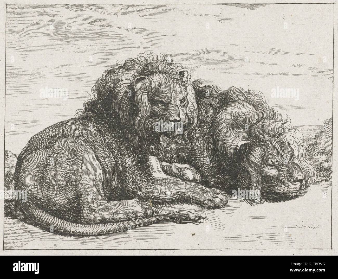 Quattro leoni reclinabili immagini e fotografie stock ad alta ...