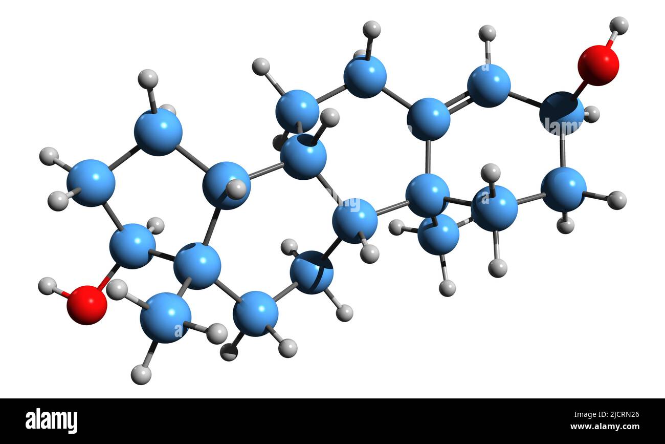 Estere androgeno immagini e fotografie stock ad alta risoluzione - Alamy