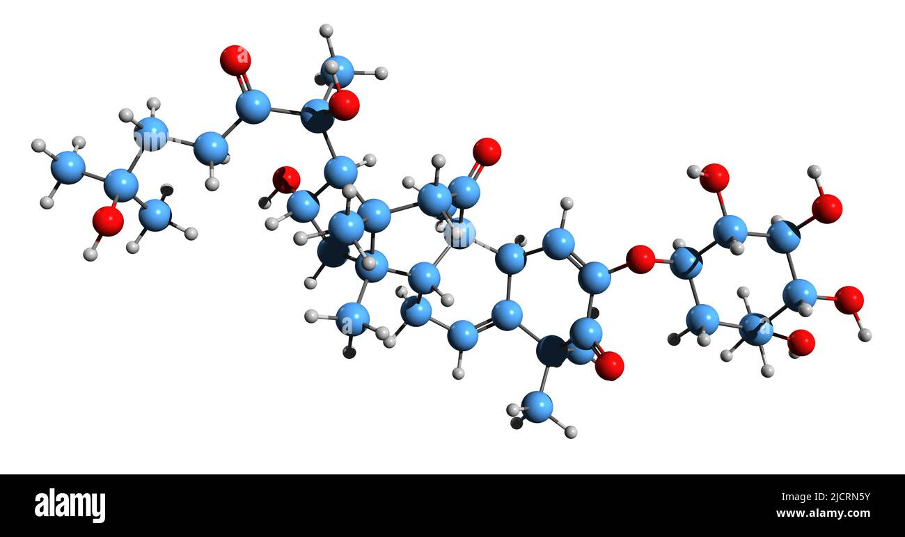 Cucurbitacina l immagini e fotografie stock ad alta risoluzione - Alamy