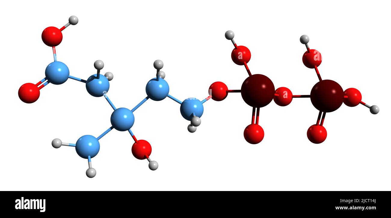 Formula molecolare del colesterolo immagini e fotografie stock ad alta ...