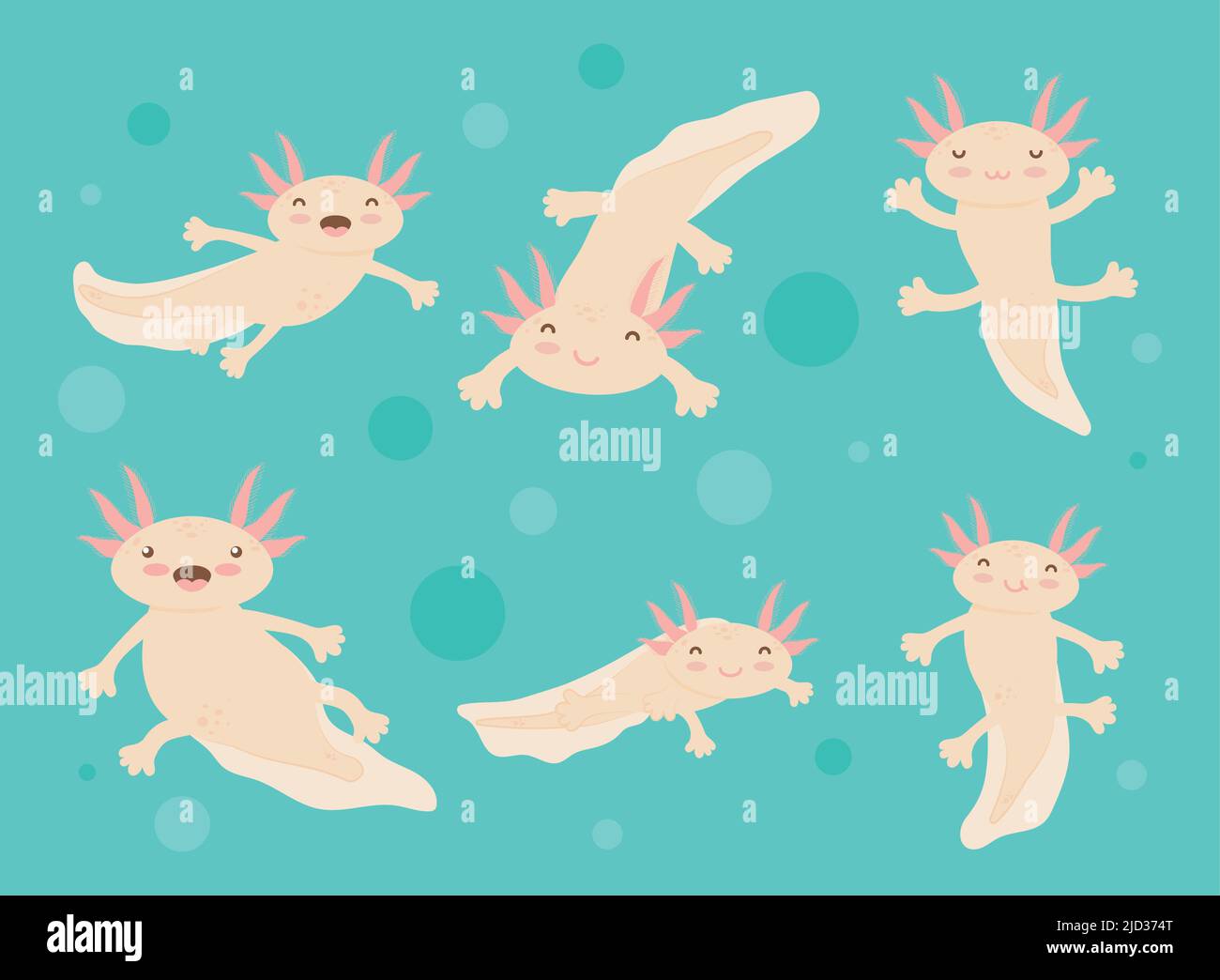 Axolotl messicano immagini e fotografie stock ad alta risoluzione - Alamy
