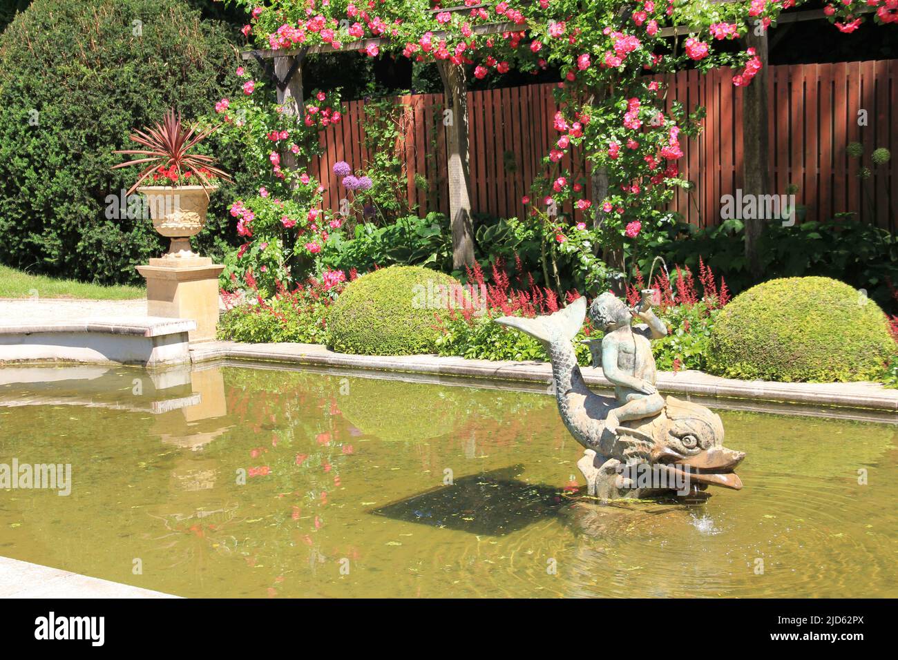 8000 blumen immagini e fotografie stock ad alta risoluzione - Alamy