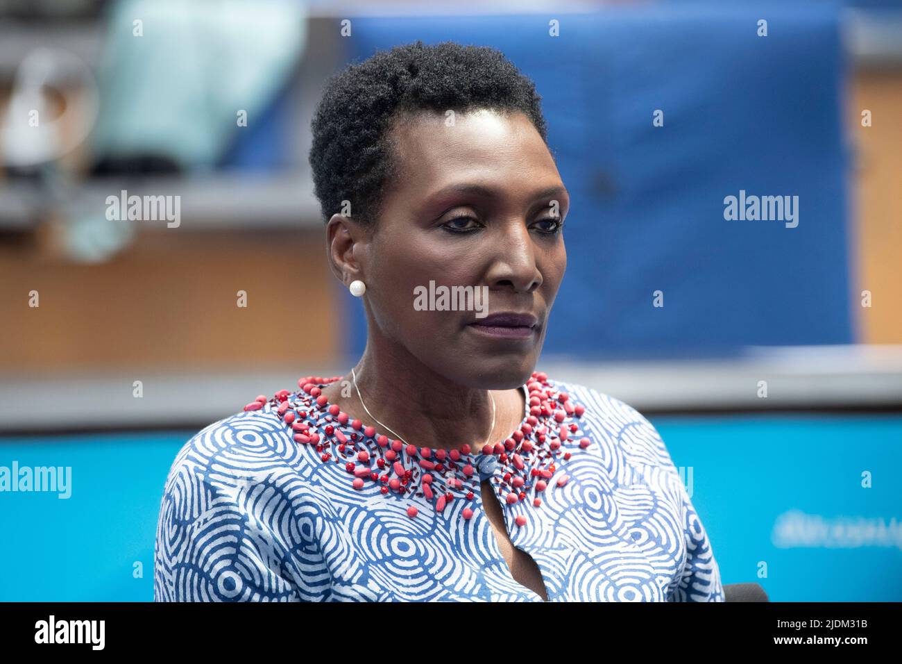 Moky makura immagini e fotografie stock ad alta risoluzione - Alamy