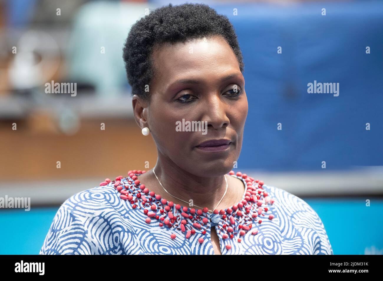 Moky makura immagini e fotografie stock ad alta risoluzione - Alamy