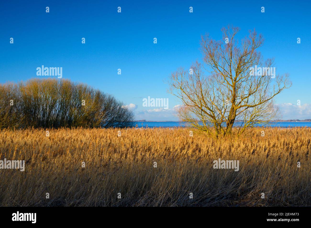 Dummer see immagini e fotografie stock ad alta risoluzione - Alamy