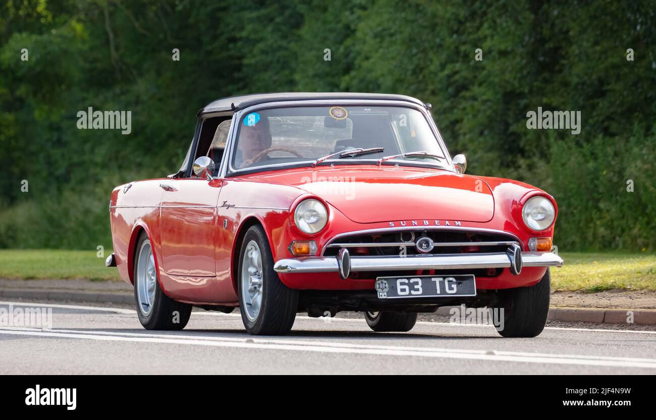 Sunbeam tiger immagini e fotografie stock ad alta risoluzione - Alamy