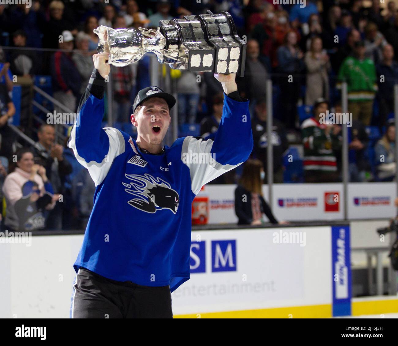 Yan Kuznetsov dei cani marini di San Giovanni celebra con la Memorial ...