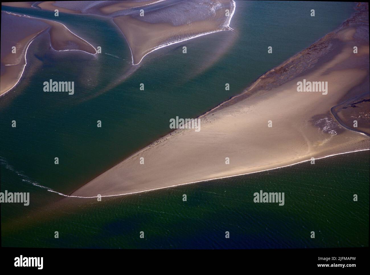 Das wattenmeer immagini e fotografie stock ad alta risoluzione - Alamy