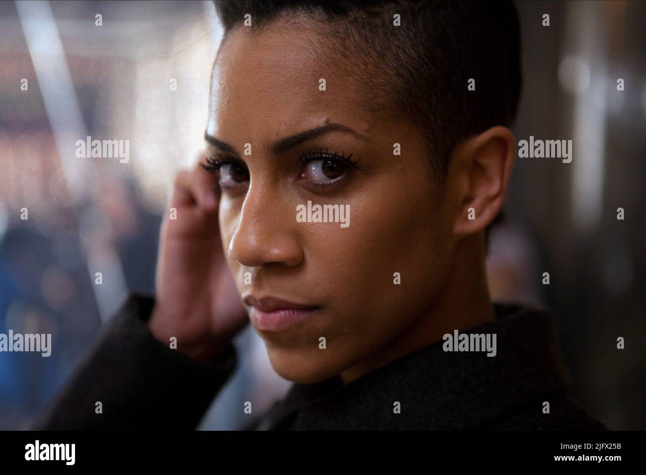 Dominique tipper immagini e fotografie stock ad alta risoluzione - Alamy