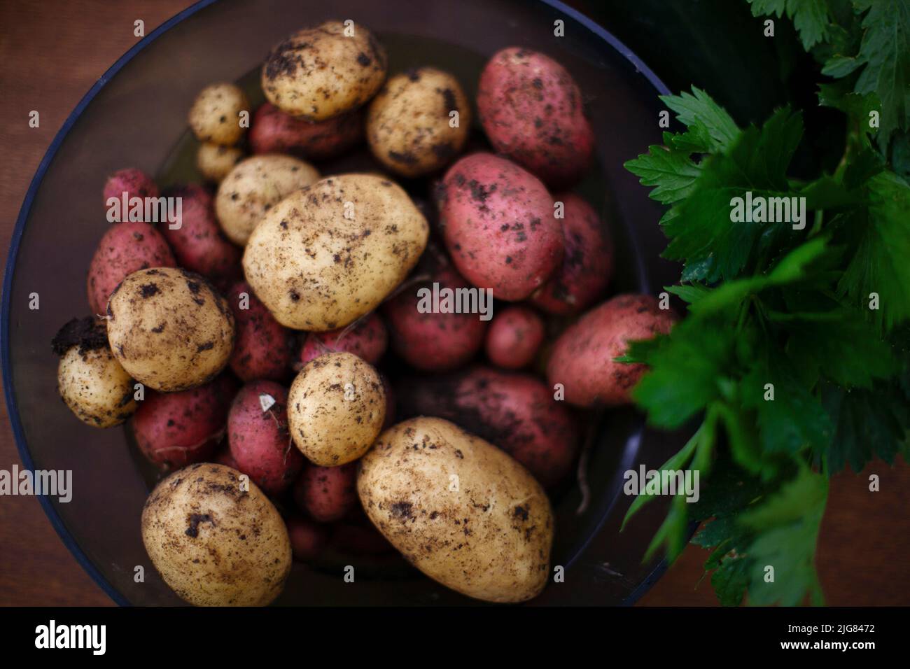 Dalla propria coltivazione immagini e fotografie stock ad alta ...