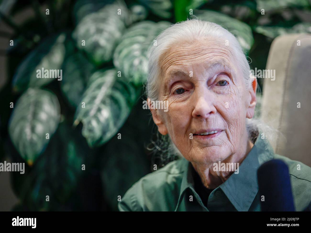 Il Dott. Jane Goodall parla durante un'intervista a Calgary, Alte ...