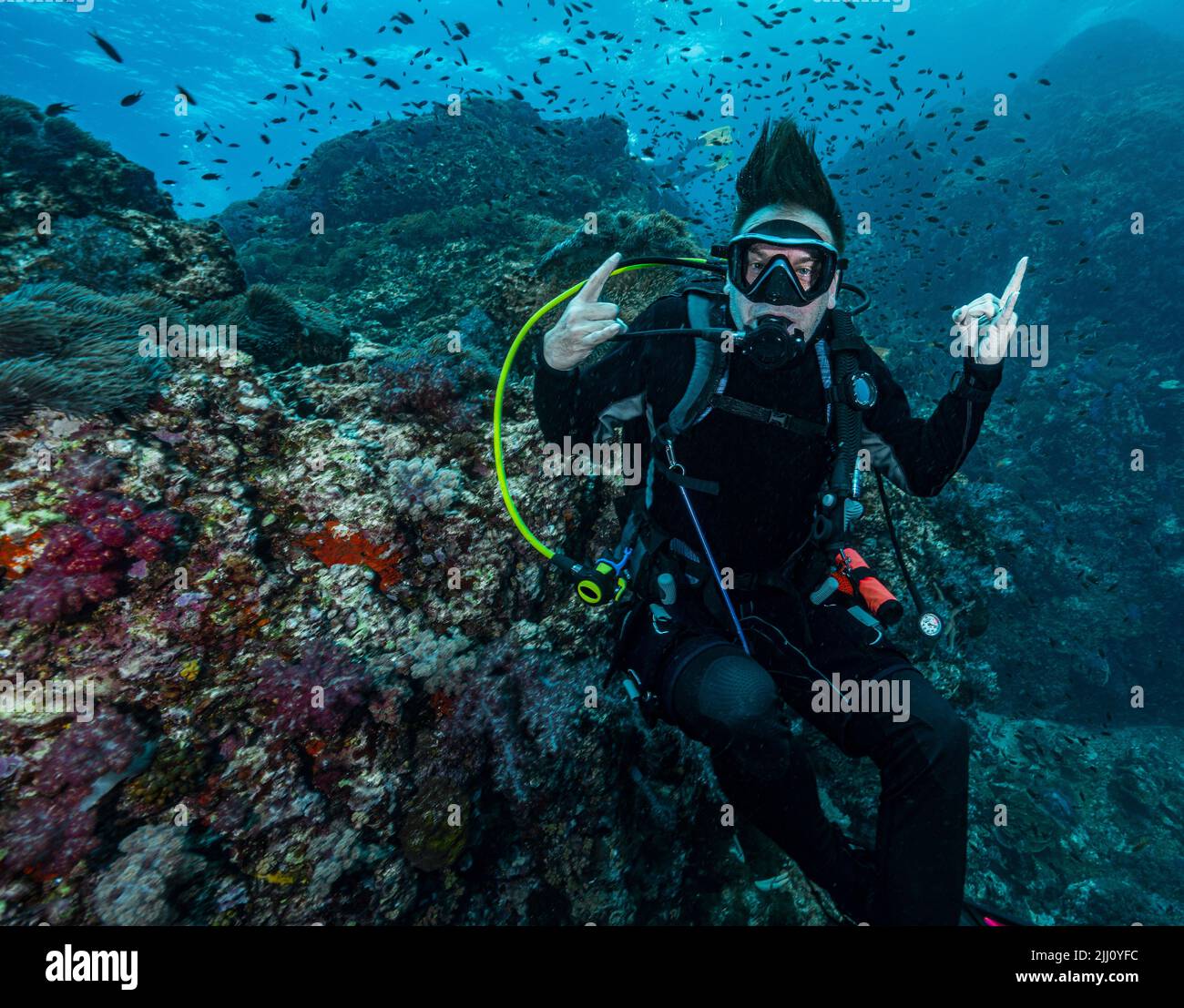 Uno punk del mare immagini e fotografie stock ad alta risoluzione - Alamy