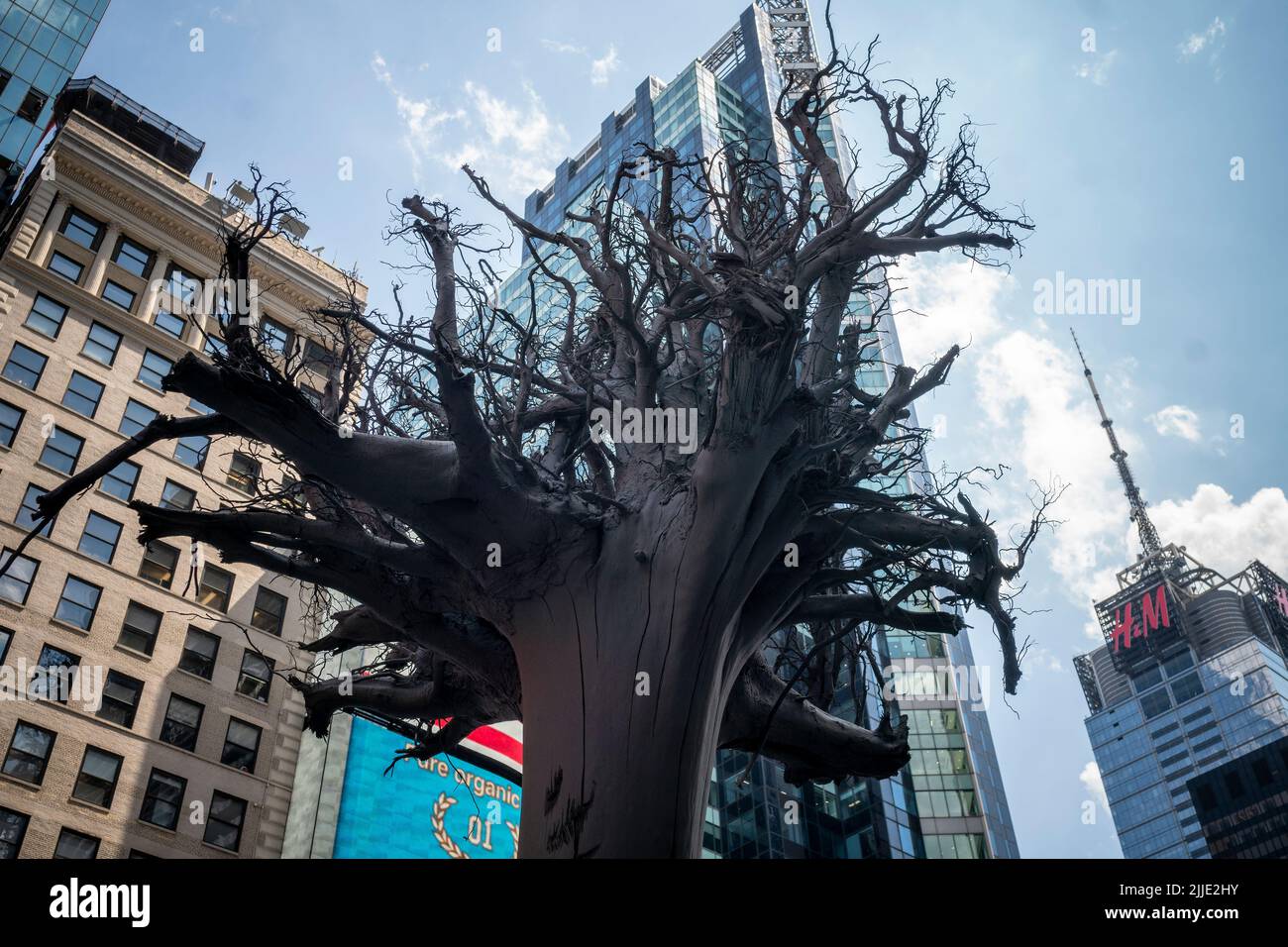 Le "radici" dell'artista Charles Gaines sono esposte a Times Square a ...