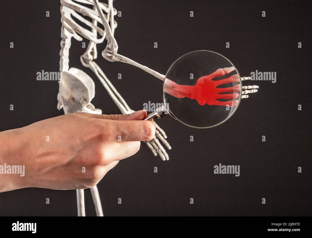 Scheletro mano umana anatomia immagini e fotografie stock ad alta ...