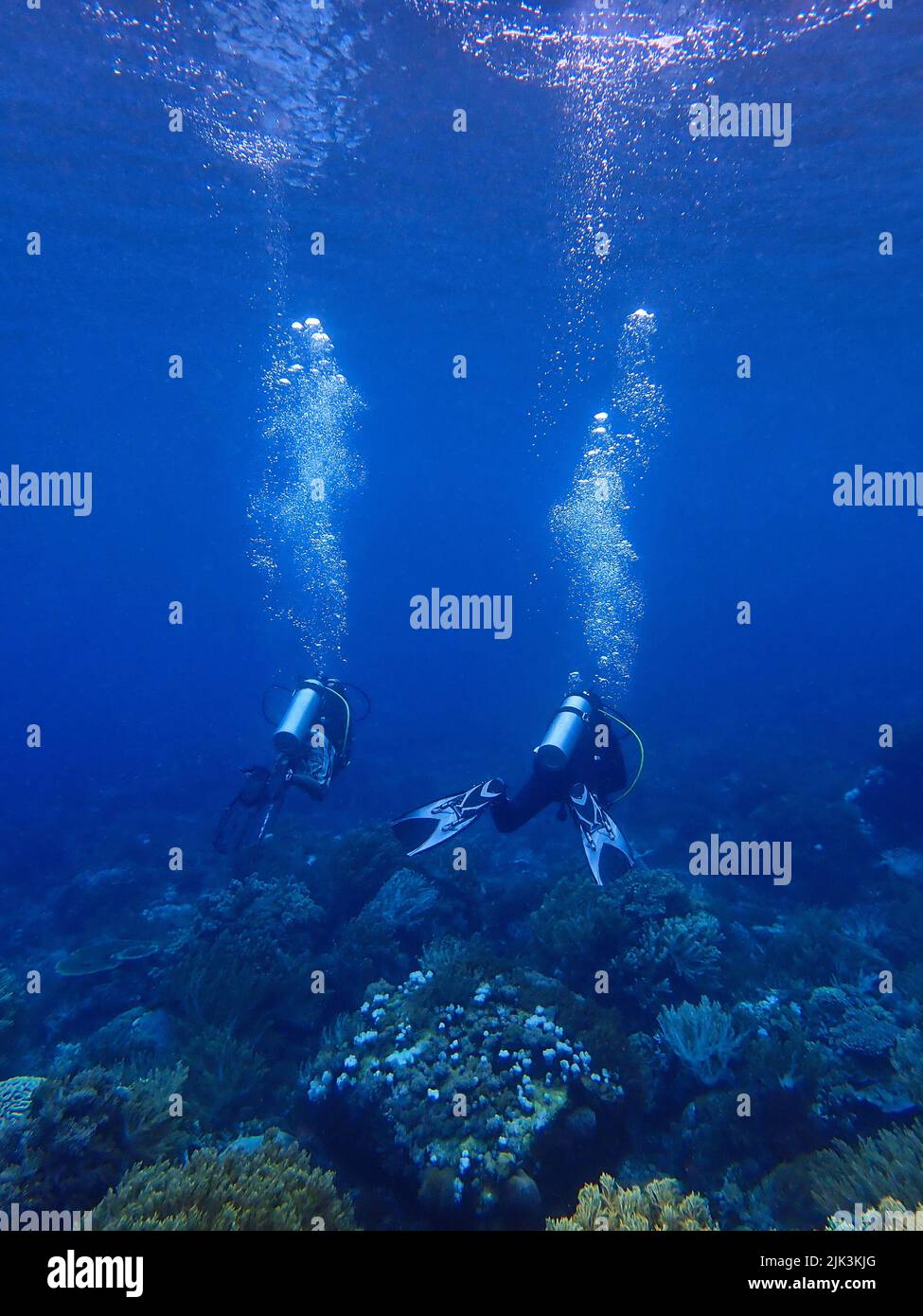Immersioni subacquee della barriera corallina immagini e fotografie ...