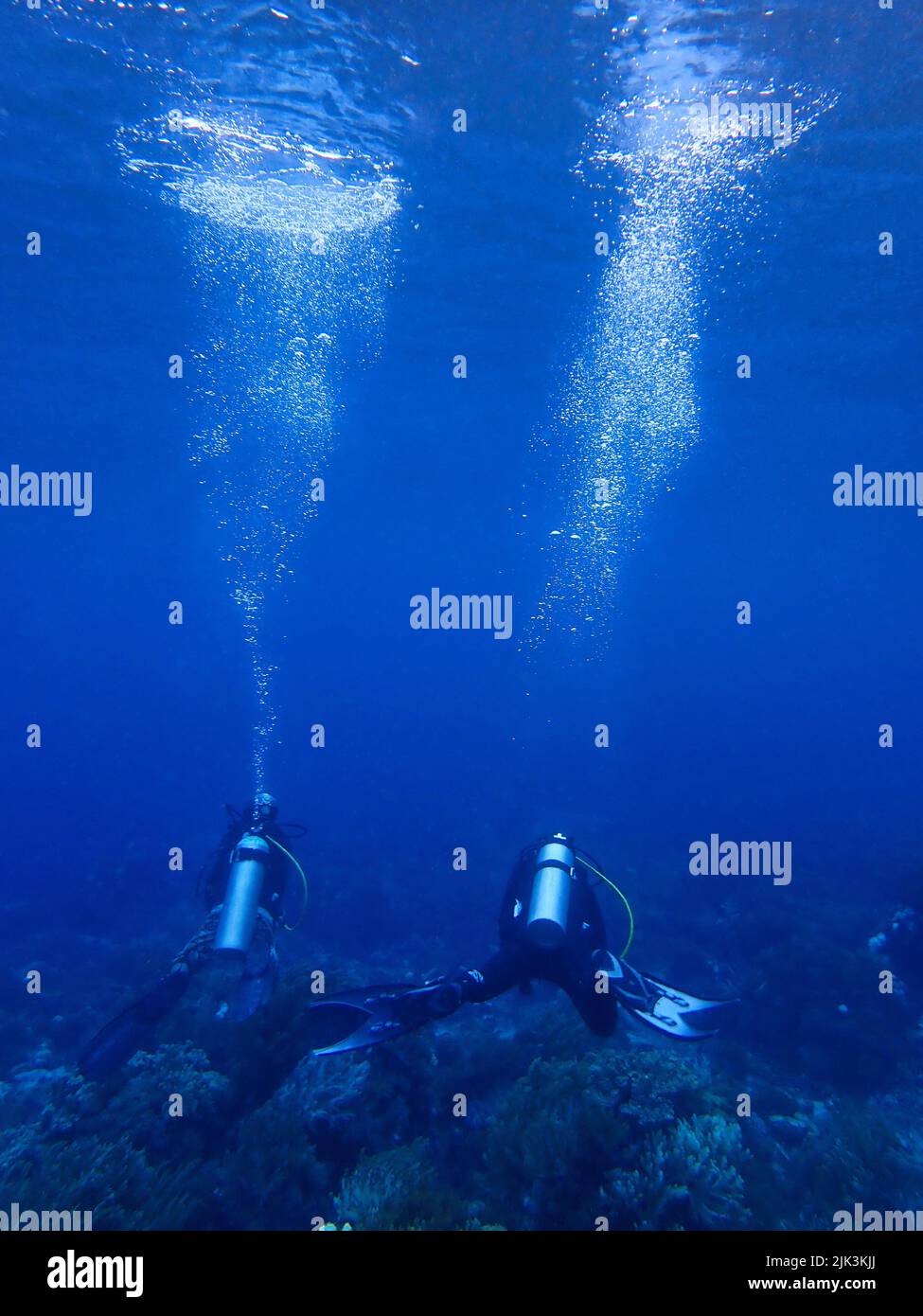 Immersioni subacquee della barriera corallina immagini e fotografie ...