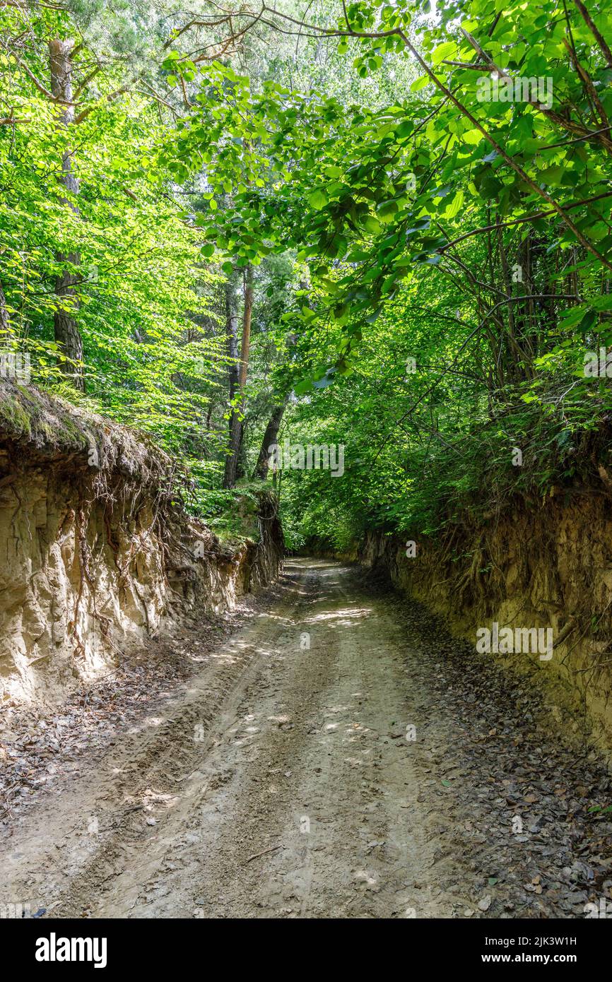Ripido sentiero del burrone immagini e fotografie stock ad alta ...