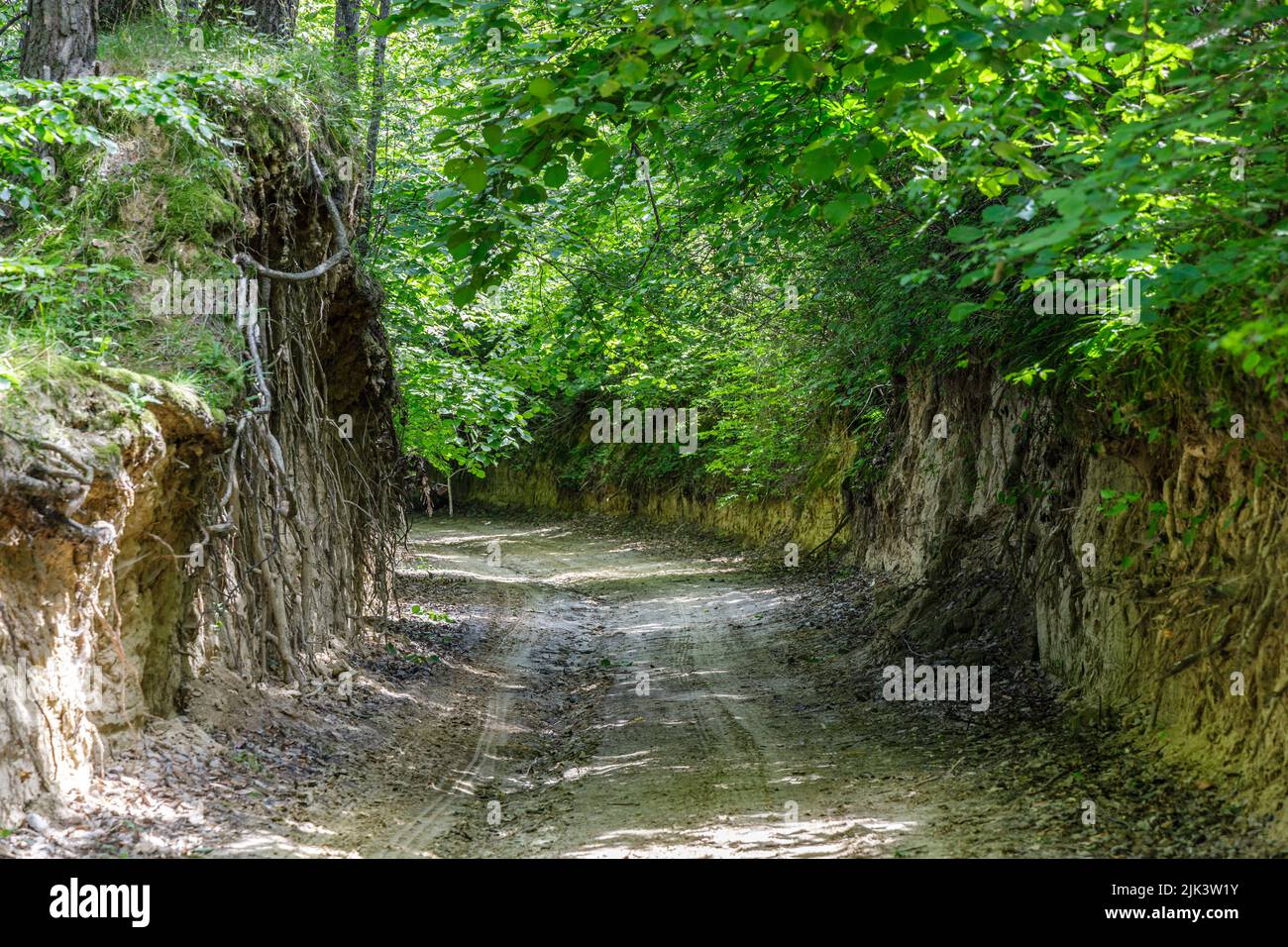 Ripido sentiero del burrone immagini e fotografie stock ad alta ...