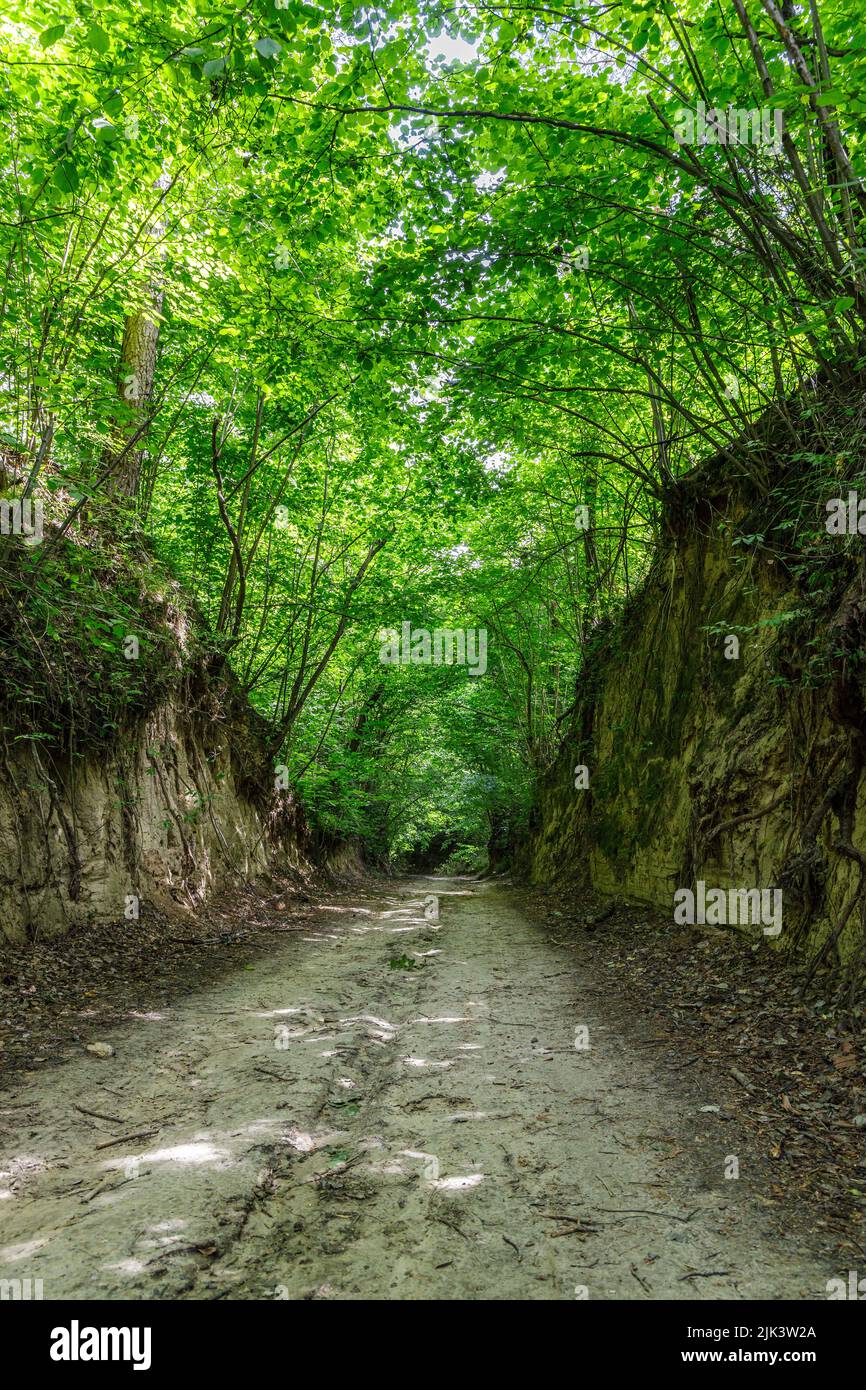 Ripido sentiero del burrone immagini e fotografie stock ad alta ...