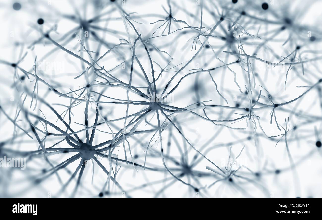Sinapsi nel sistema nervoso immagini e fotografie stock ad alta ...