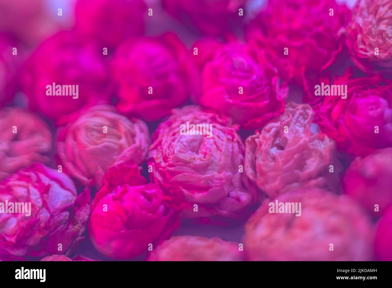 Disegno del modello di fiore immagini e fotografie stock ad alta ...