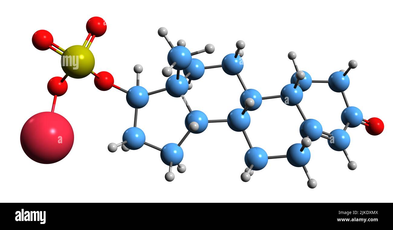 Estere androgeno immagini e fotografie stock ad alta risoluzione - Alamy