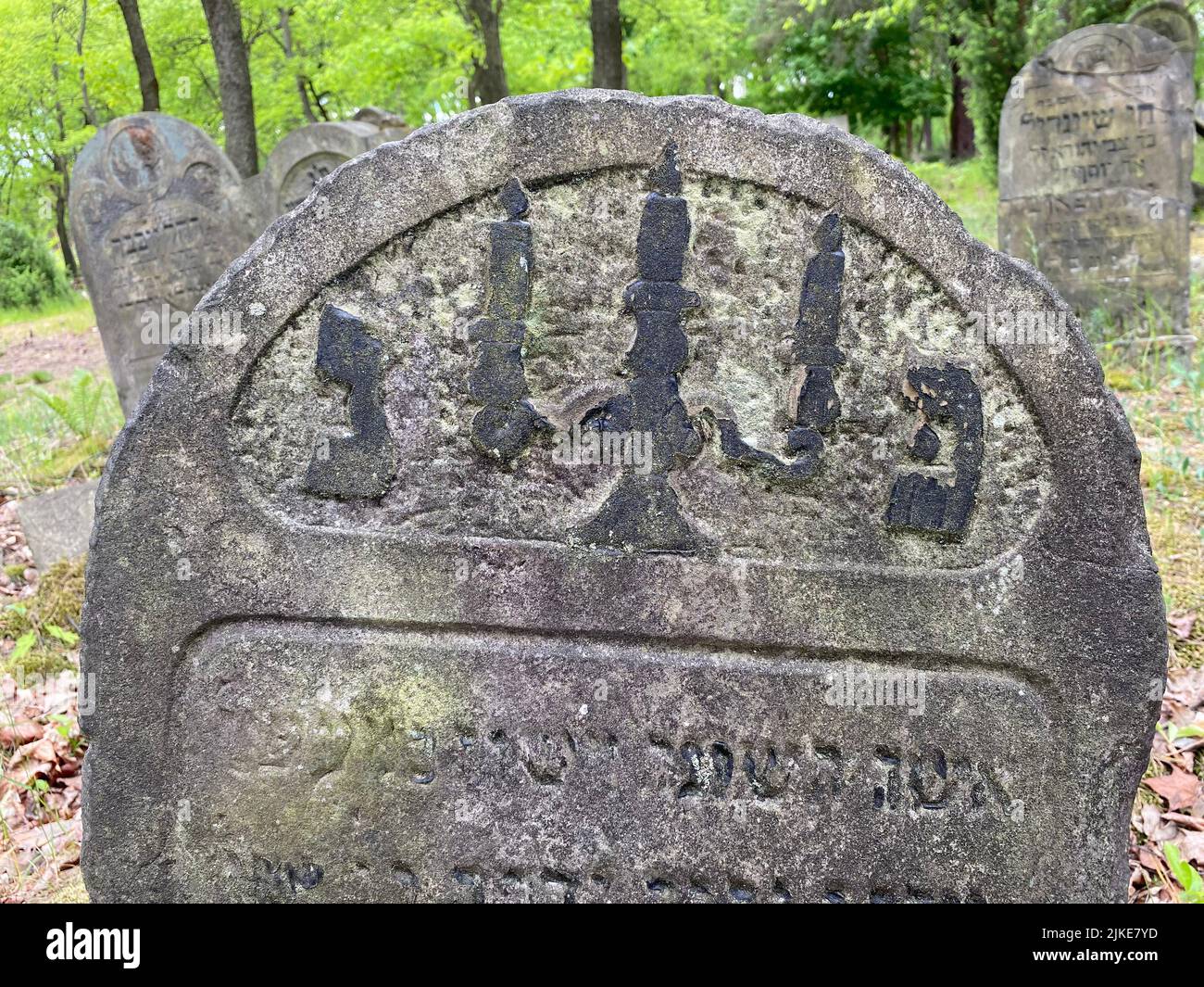 Rovine del vecchio cimitero ebraico a Otwock Polonia cmentarz żydowski ...