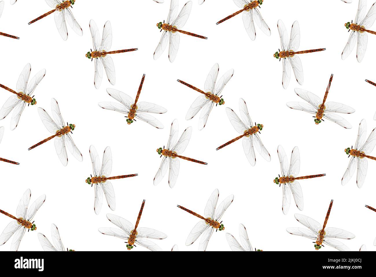 Farfalla stilizzato Immagini senza sfondo e Foto Stock ritagliate - Alamy