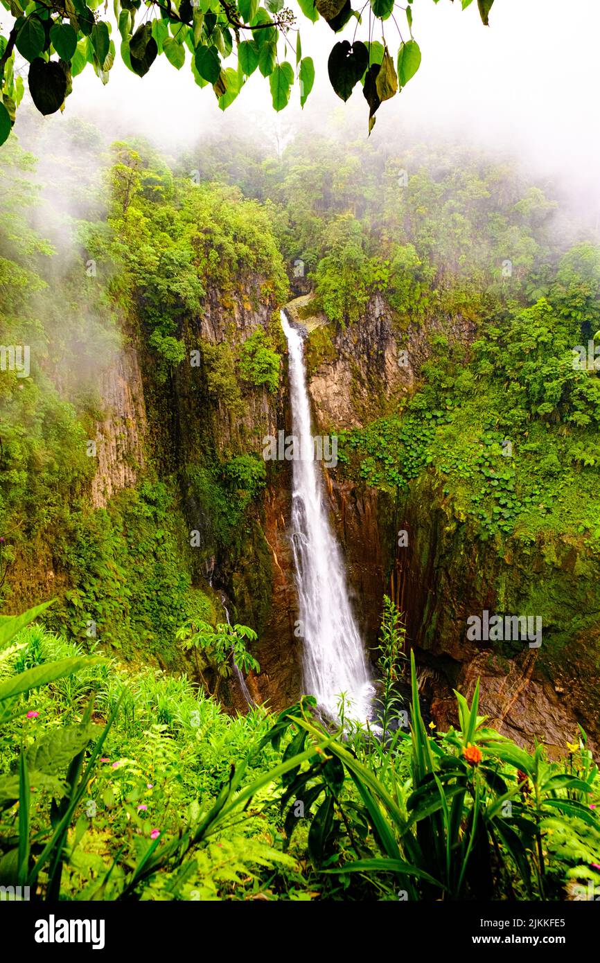 Cascata del tesoro escondido immagini e fotografie stock ad alta ...
