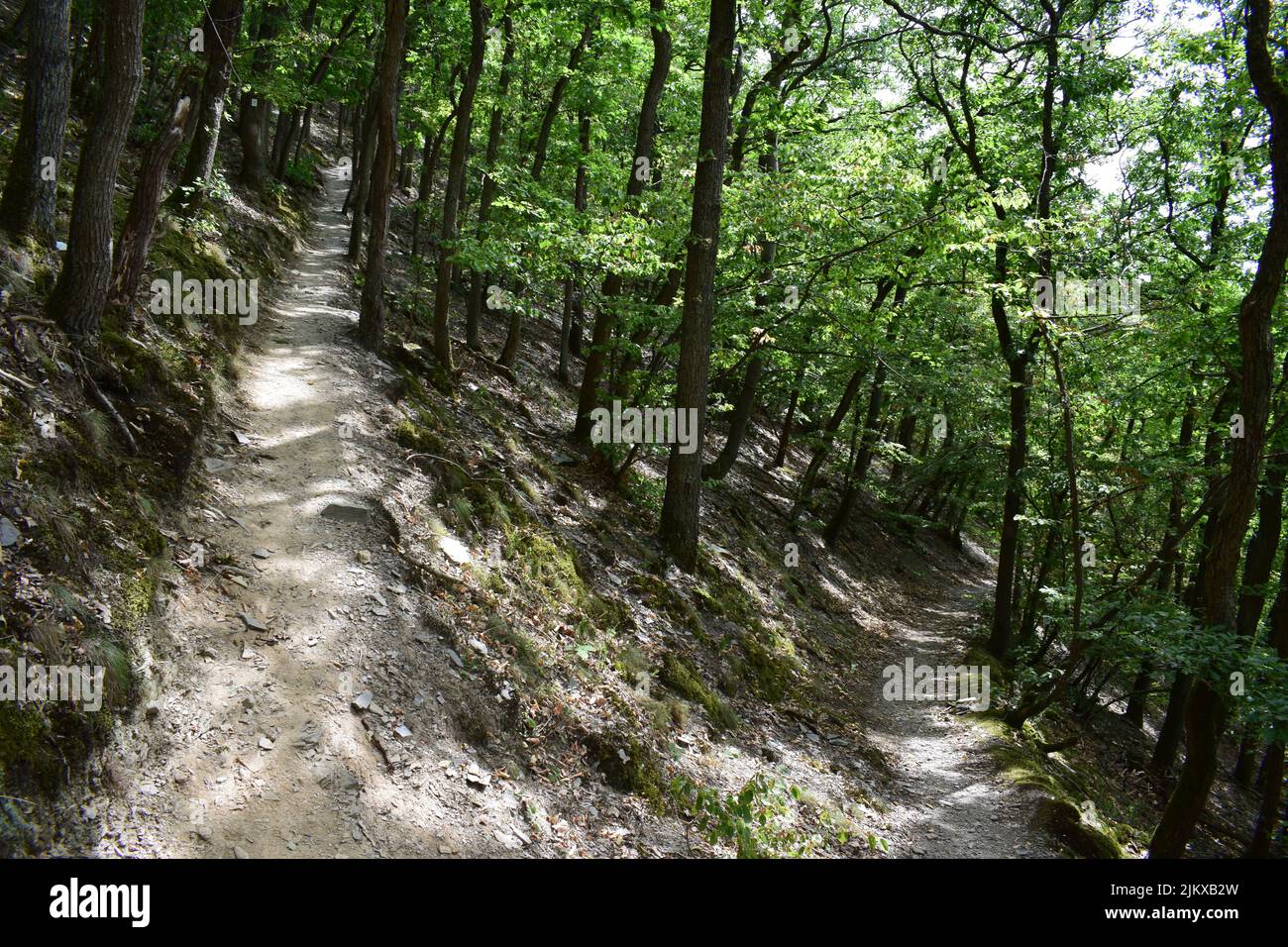 Sentiero escursionistico moselsteig immagini e fotografie stock ad alta ...