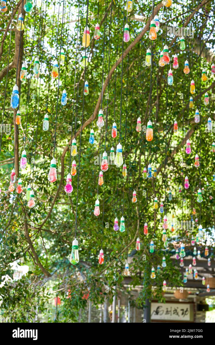 Carte dei desideri e appese all'albero dei desideri immagini e ...