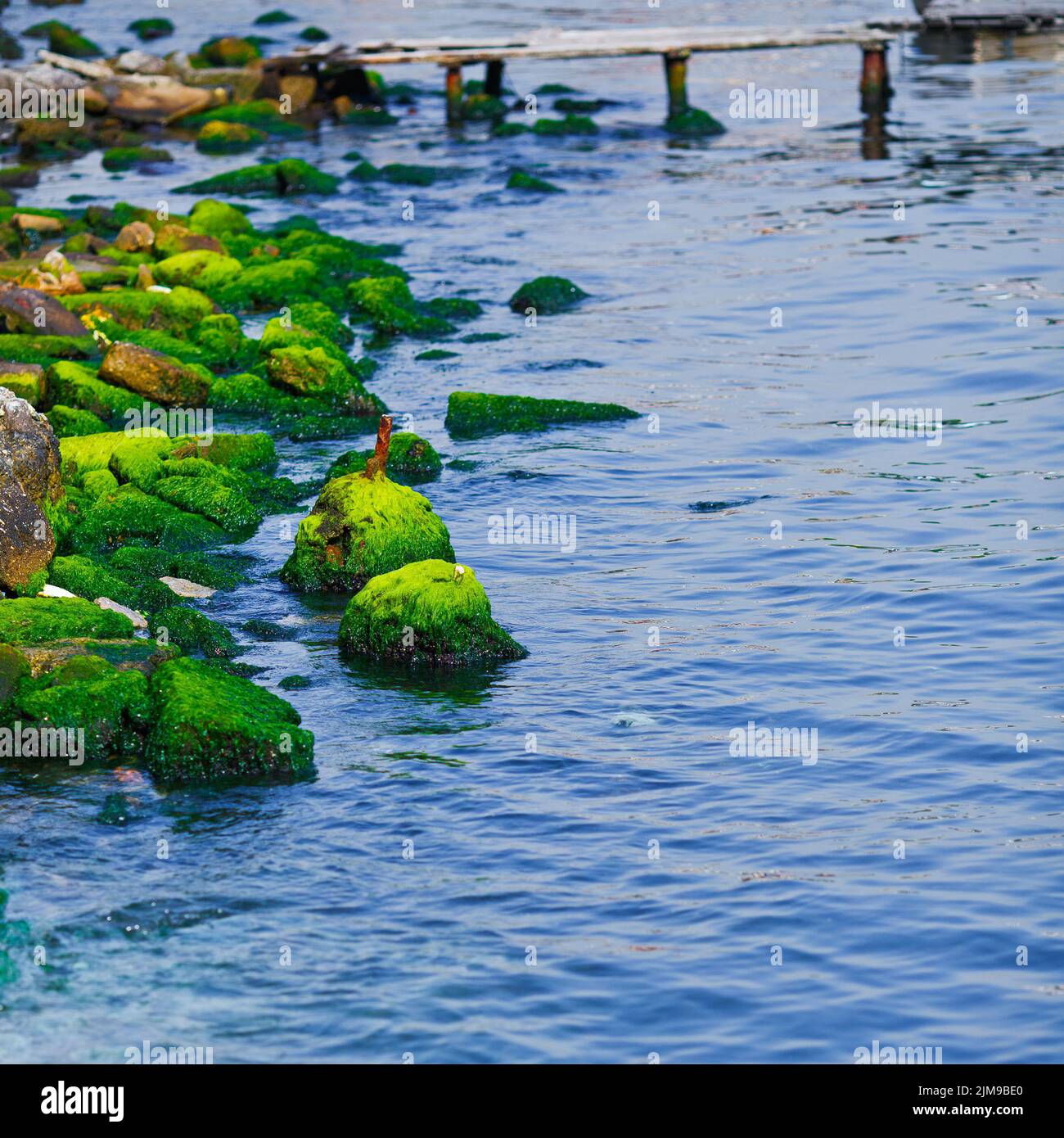 Paesaggi in riva al mare immagini e fotografie stock ad alta ...