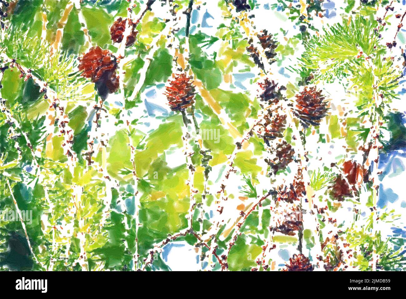 Disegno di larice immagini e fotografie stock ad alta risoluzione - Alamy
