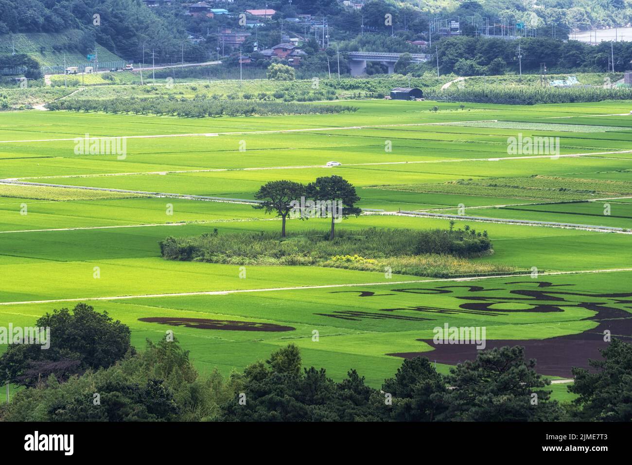 Hadong gun immagini e fotografie stock ad alta risoluzione - Alamy