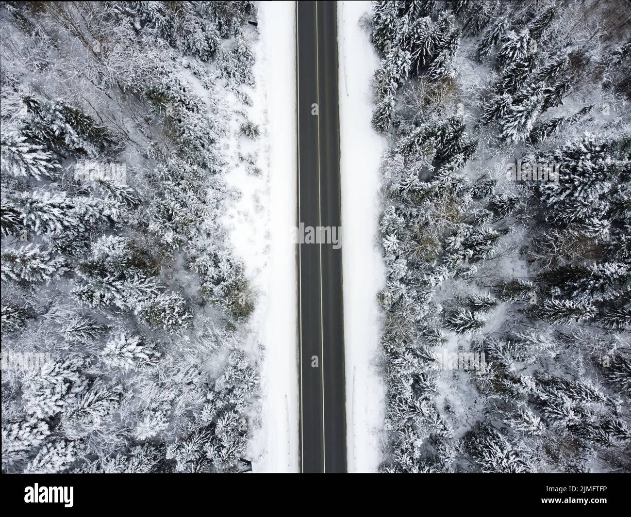 Paesaggio forestale leggero in inverno dalla vista a volo d'uccello ...