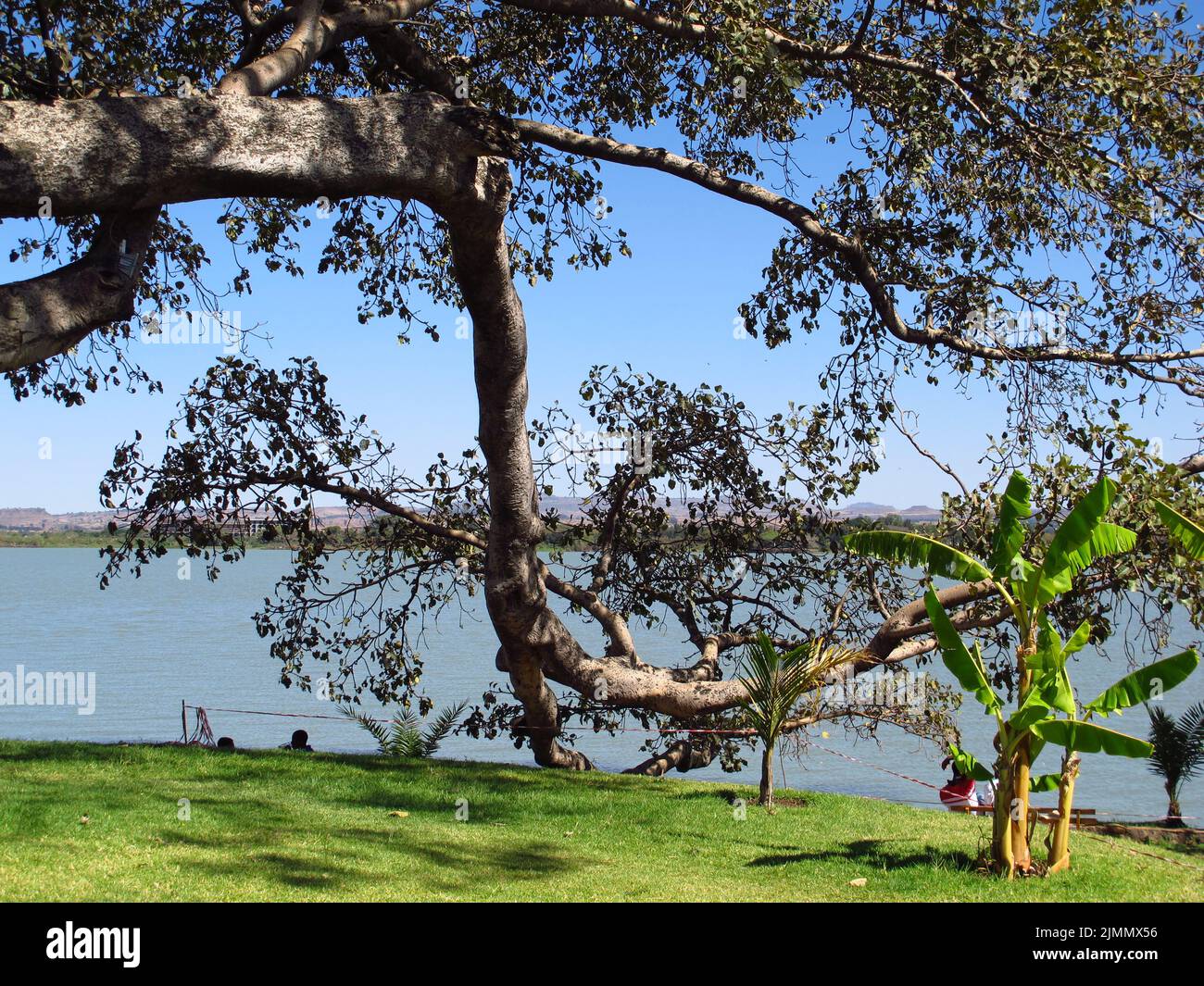 Bahr dar immagini e fotografie stock ad alta risoluzione - Alamy