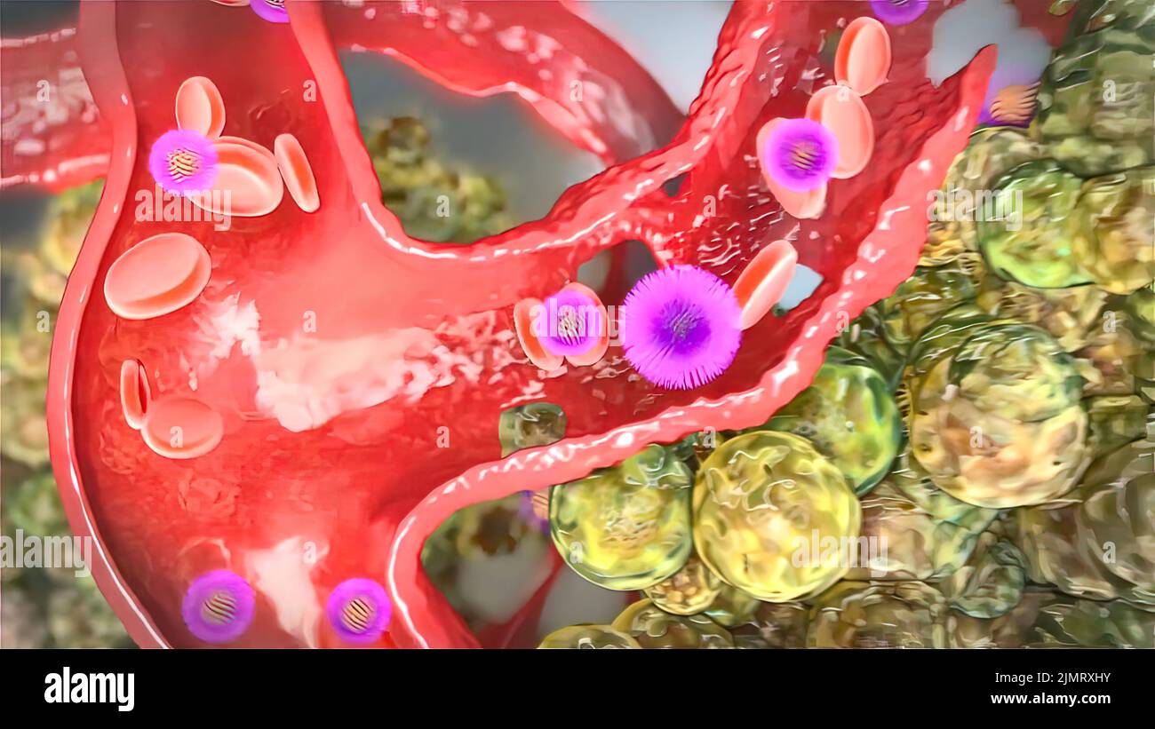 Pelle umana microscopio immagini e fotografie stock ad alta risoluzione ...