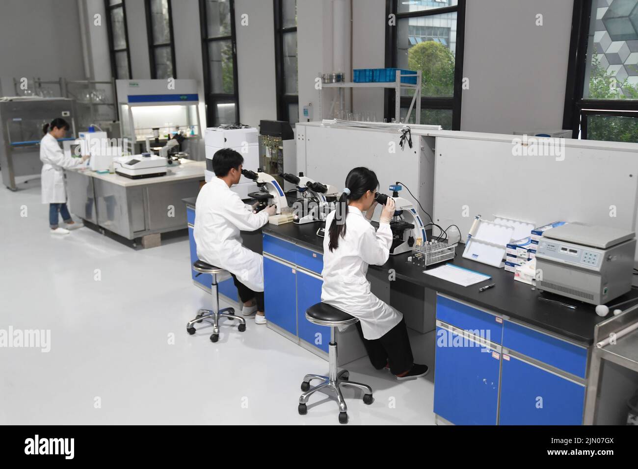 GUIYANG, CINA - 8 AGOSTO 2022 - i tecnici osservano la biomorfologia e ...