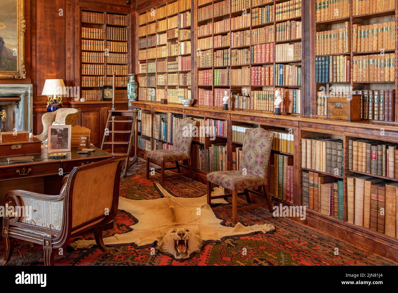 Historic library immagini e fotografie stock ad alta risoluzione - Alamy