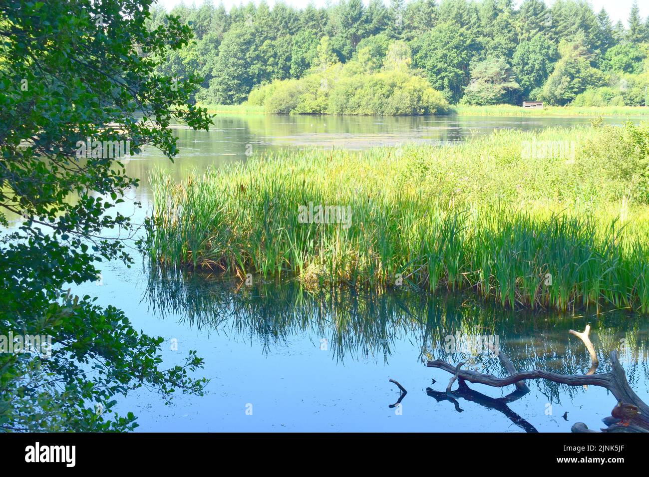 Lago stover immagini e fotografie stock ad alta risoluzione - Alamy