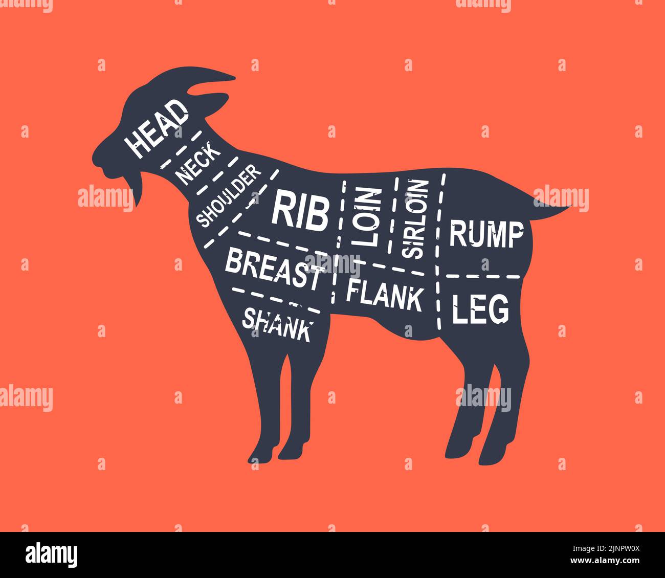 Tagli di diagramma di capra. Poster schema macellaio. Tagli di carne di ...