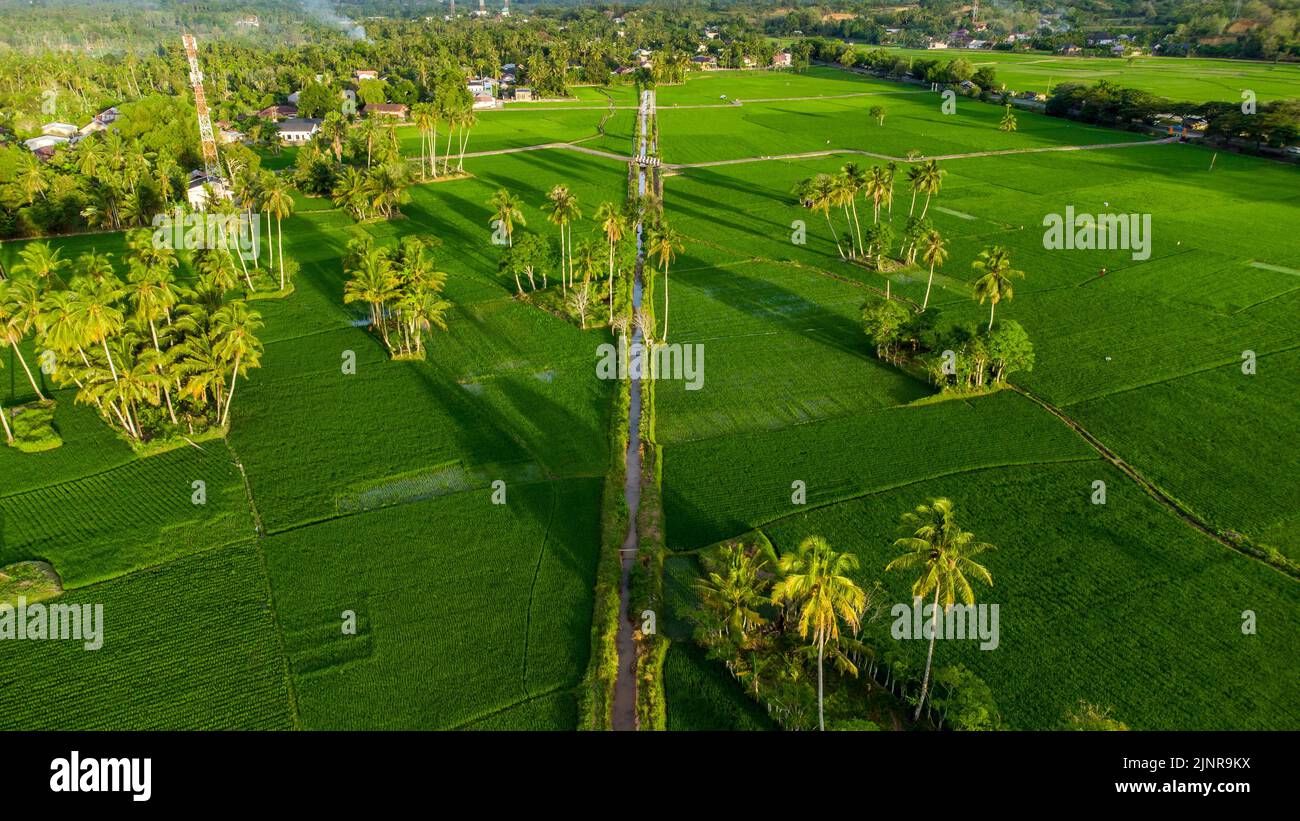 Veduta aerea di campi di riso terrazzati immagini e fotografie stock ad ...
